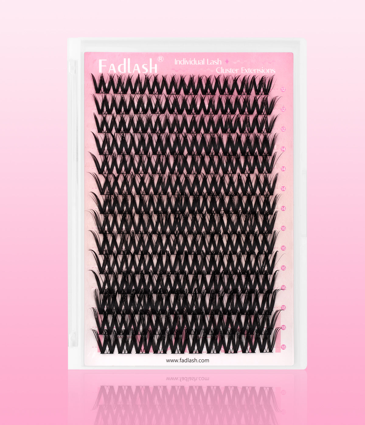 Cluster Lashes Map Guide For Beginners – Fadlash Beauty