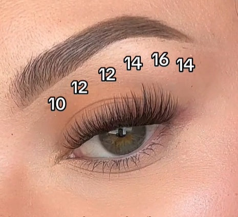 Cluster Lashes Map Guide For Beginners – Fadlash Beauty
