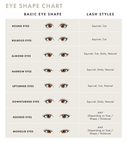 Cluster Lashes Map Guide For Beginners – Fadlash Beauty