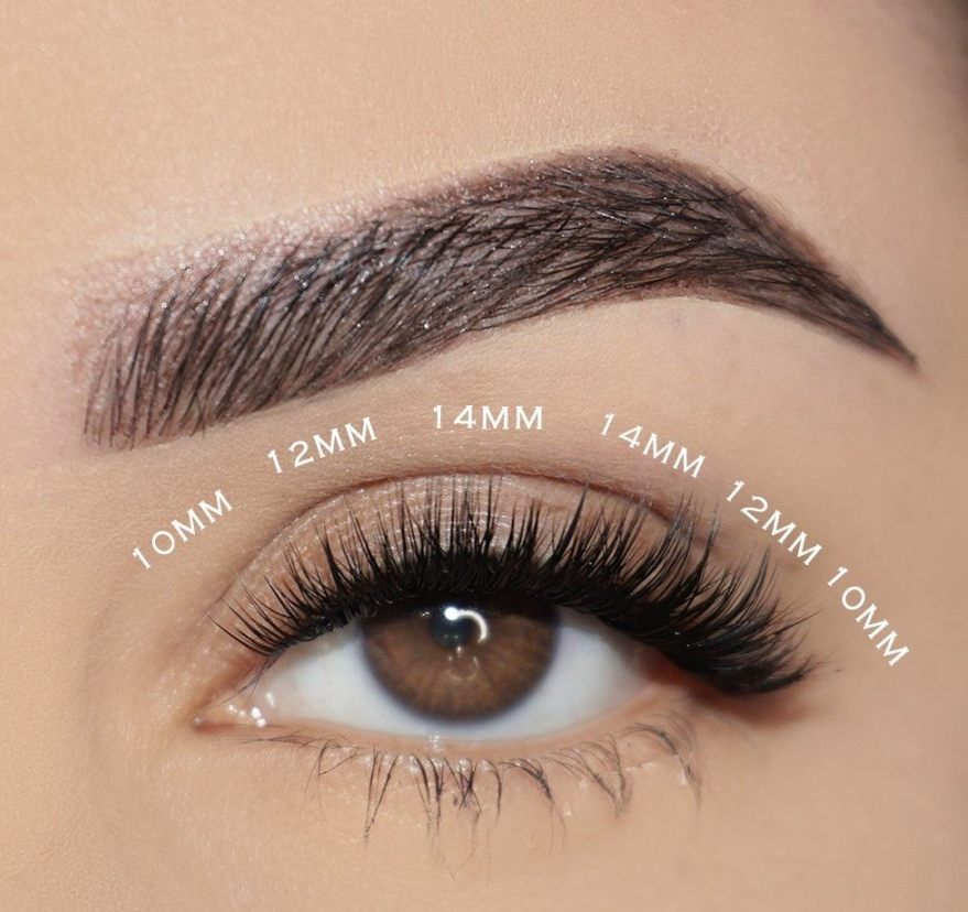 Cluster Lashes Map Guide For Beginners – Fadlash Beauty